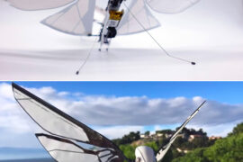 MetaFly Looks Like a Real Insect from Afar, But It's Actually a Flying ...