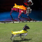 Sony AIBO Robot Dog Learns New Tricks, Can Now Greet You at the Door ...