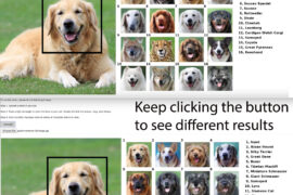 NVIDIA Uses AI to Transform Your Pet Into Completely Different Animals ...