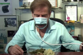 Inventors Create Bizarre Face Mask That Lets You Eat Food Like Pac-Man ...