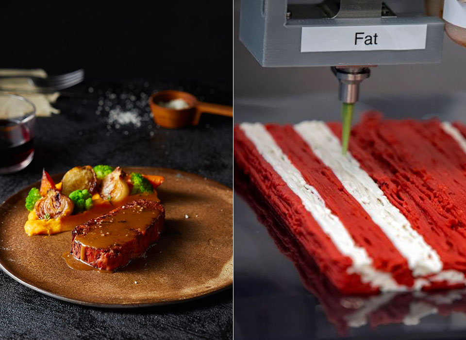 First Look at Alt-Steak, a 3D-Printed Meatless Steak Alternative ...