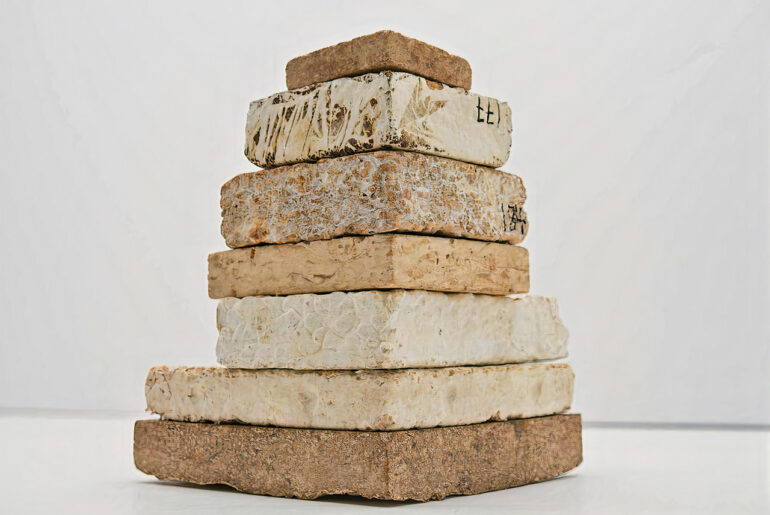 Company Makes Functional Bricks Stronger Than Concrete Using Fast ...
