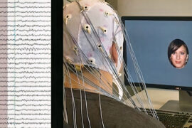 Artificial Intelligence Can Now Learn Which Faces a Person Finds Most ...