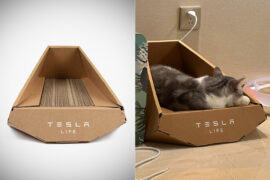 Tesla Life Cat Nest Released in China, Has Cybertruck-Inspired Design ...