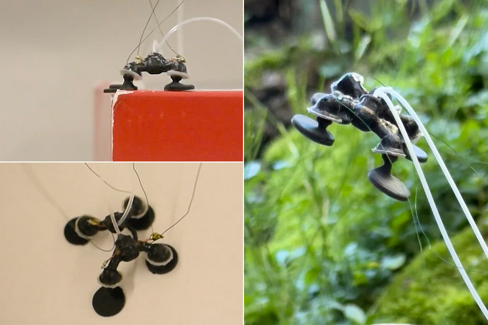 Unusual Frog-Like Robot Uses Rapid Explosions to Jump Around - TechEBlog