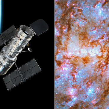 Hubble Captures Magnificent Image of Barred Spiral Galaxy NGC 1559 ...