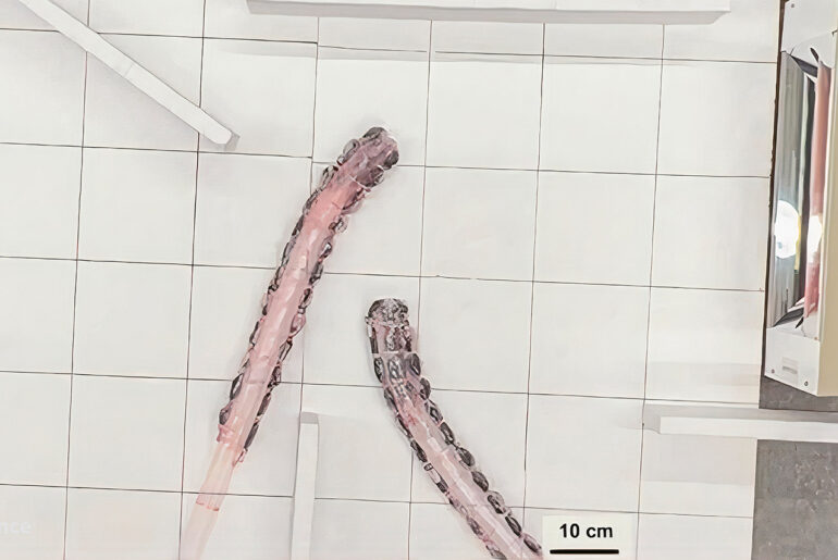 Innovative Vine-Like Robot Grows When Near Light or Heat - TechEBlog