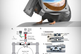 Virtual Reality Goggles for Mice Just Might be the Strangest VR Gadget ...