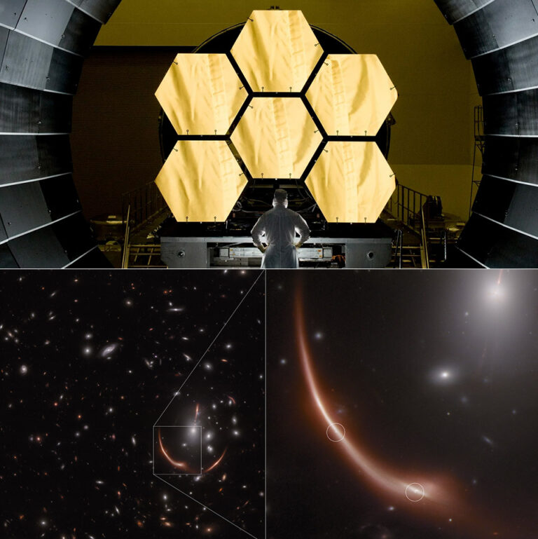 James Webb Space Telescope Observes Tendrils of Star-Forming Region NGC ...