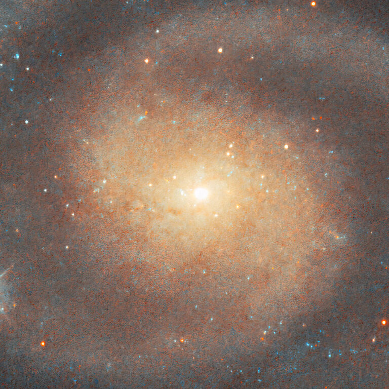 Hubble Captures Magnificent Image of Barred Spiral Galaxy NGC 1559 ...
