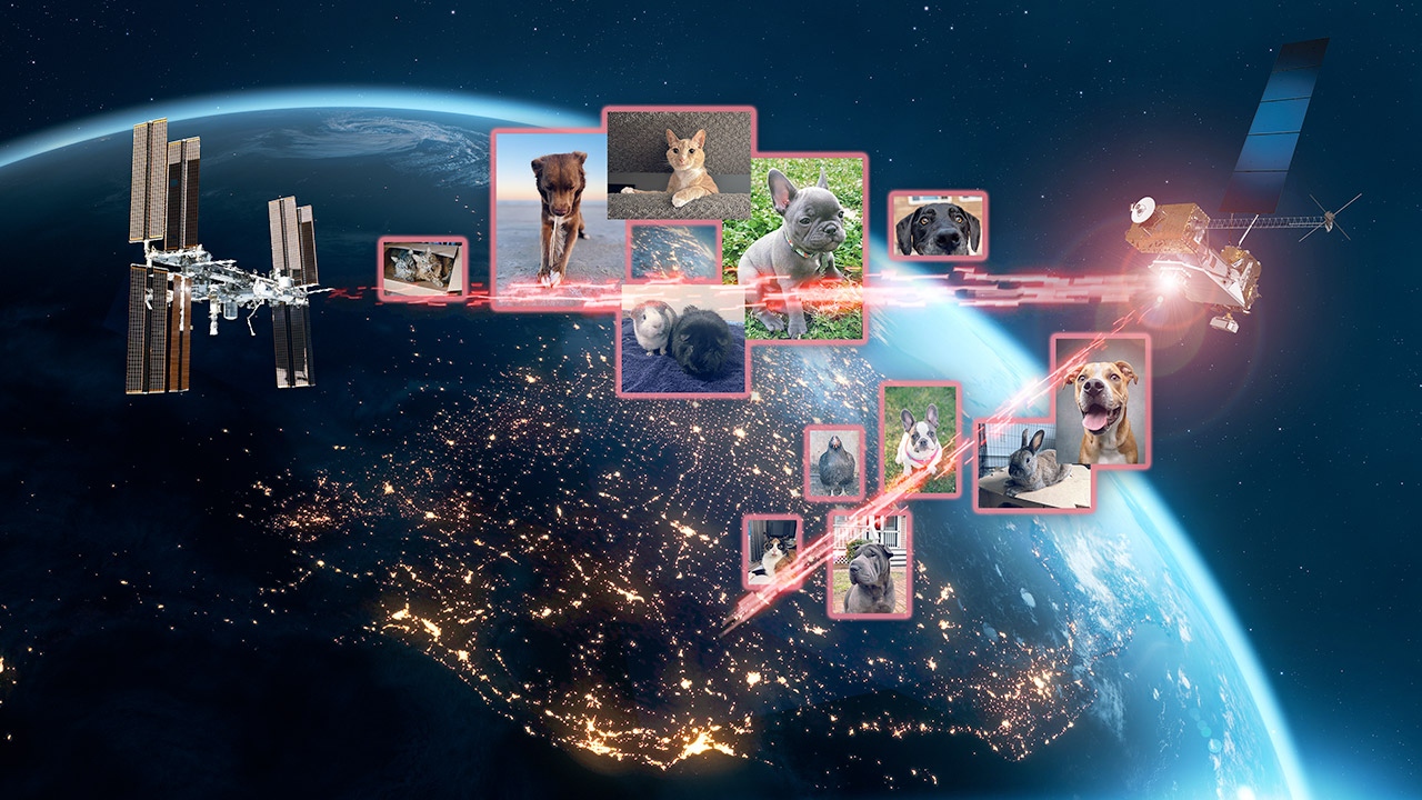 NASA's LCRD (Laser Communications Relay Demonstration) Sends Pet Photos to the ISS - TechEBlog