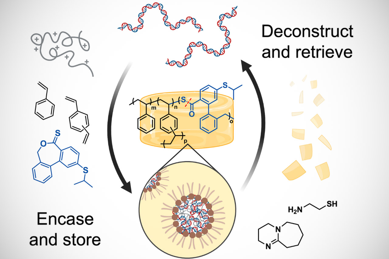 MIT Scientists Develop Amber-Like Polymer to Preserve DNA, Digital Data ...