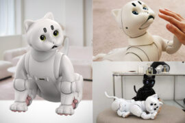 First Look at Maicat, a Smart Home AI Robot Cat - TechEBlog