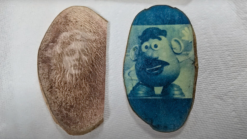 Inventor Turns Potato Into Photographic Recording Medium, Functional ...