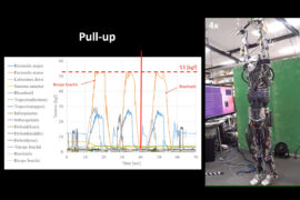 Watch this Humanoid Robot with a Skeleton and Muscles Attempt a Pull-Up ...