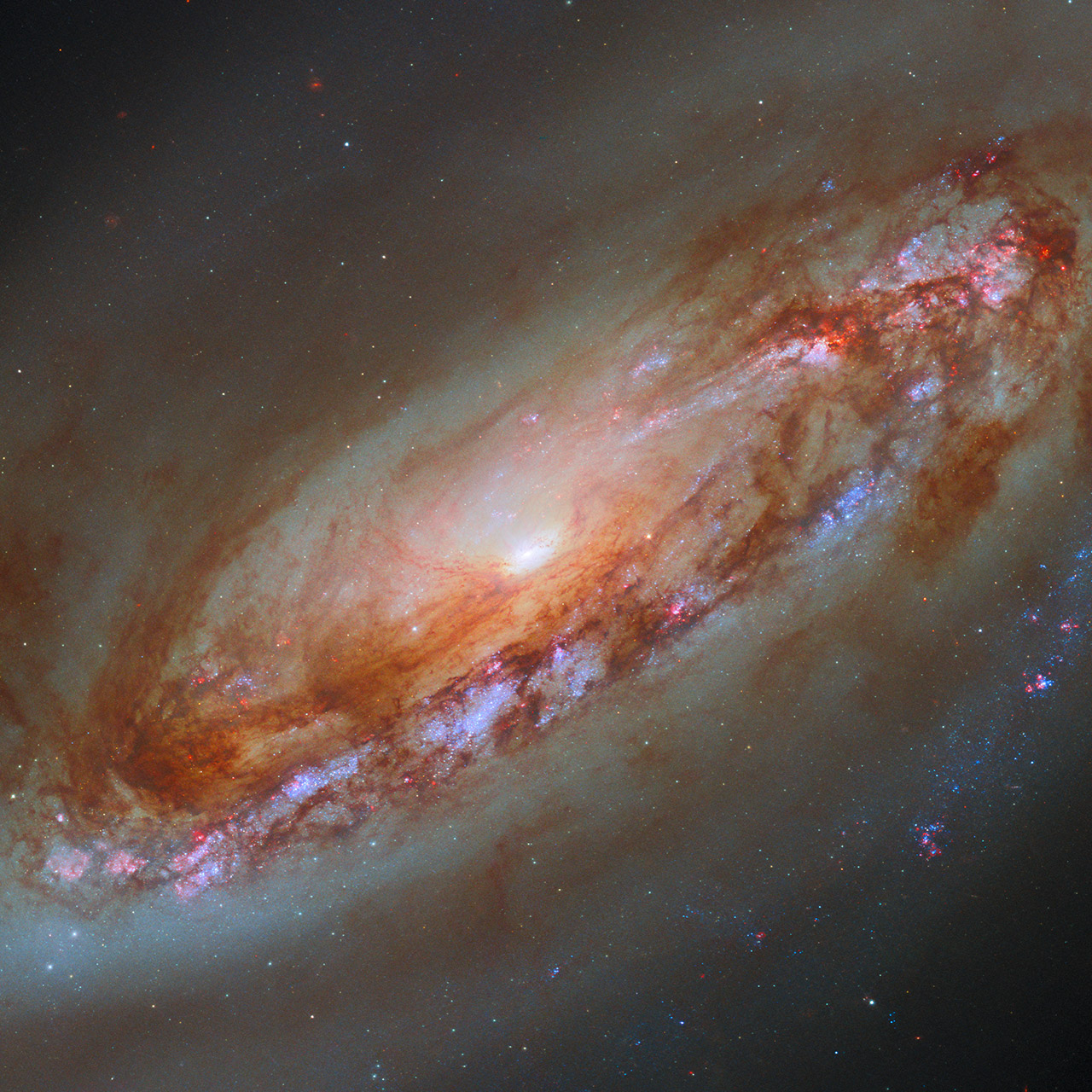 Hubble Captures Striking Image of Spiral Galaxy Messier 90 (M90 ...