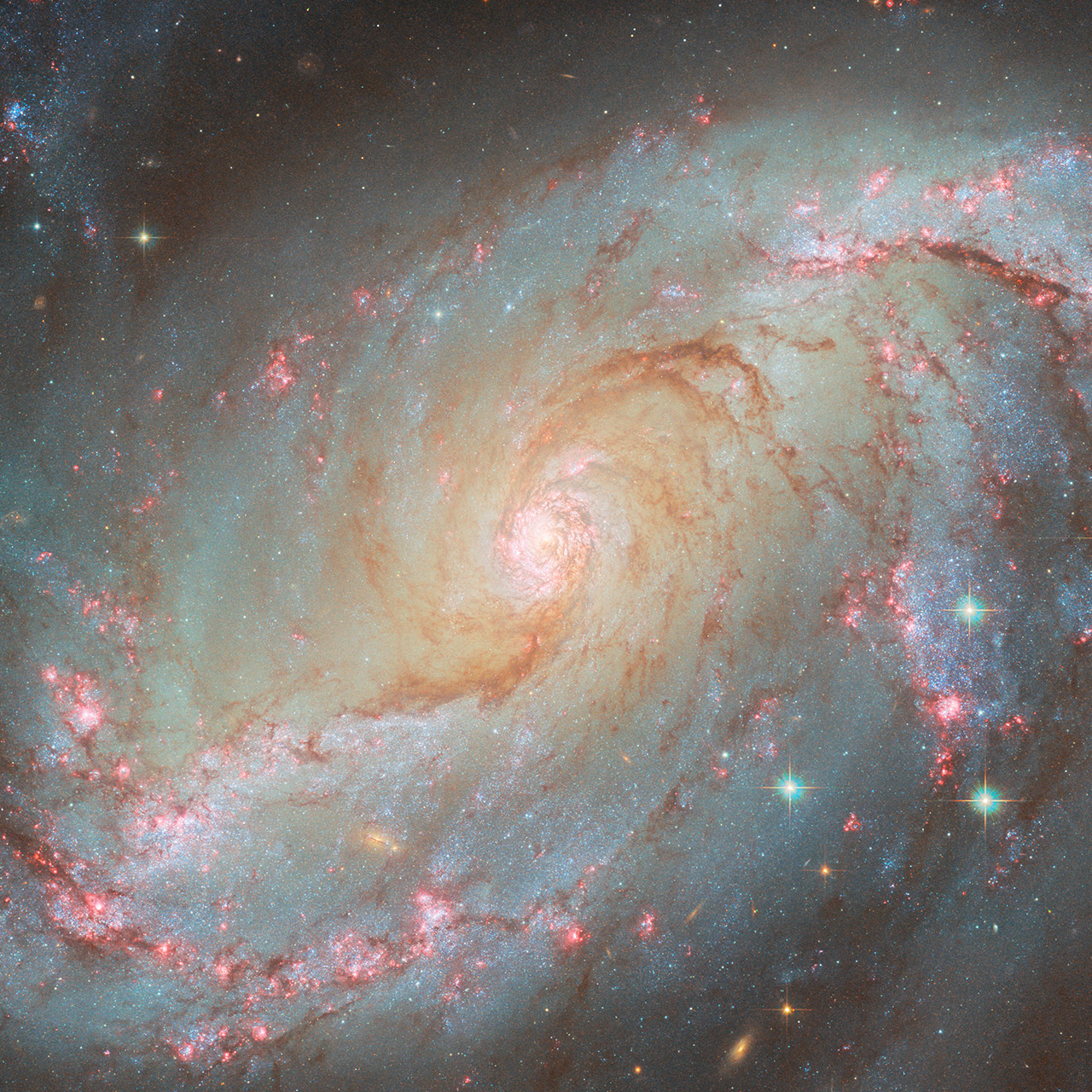 NASA's Hubble Captures Mega Barred Spiral Galaxy NGC 1672 Located 49 Million Light-Years from ...