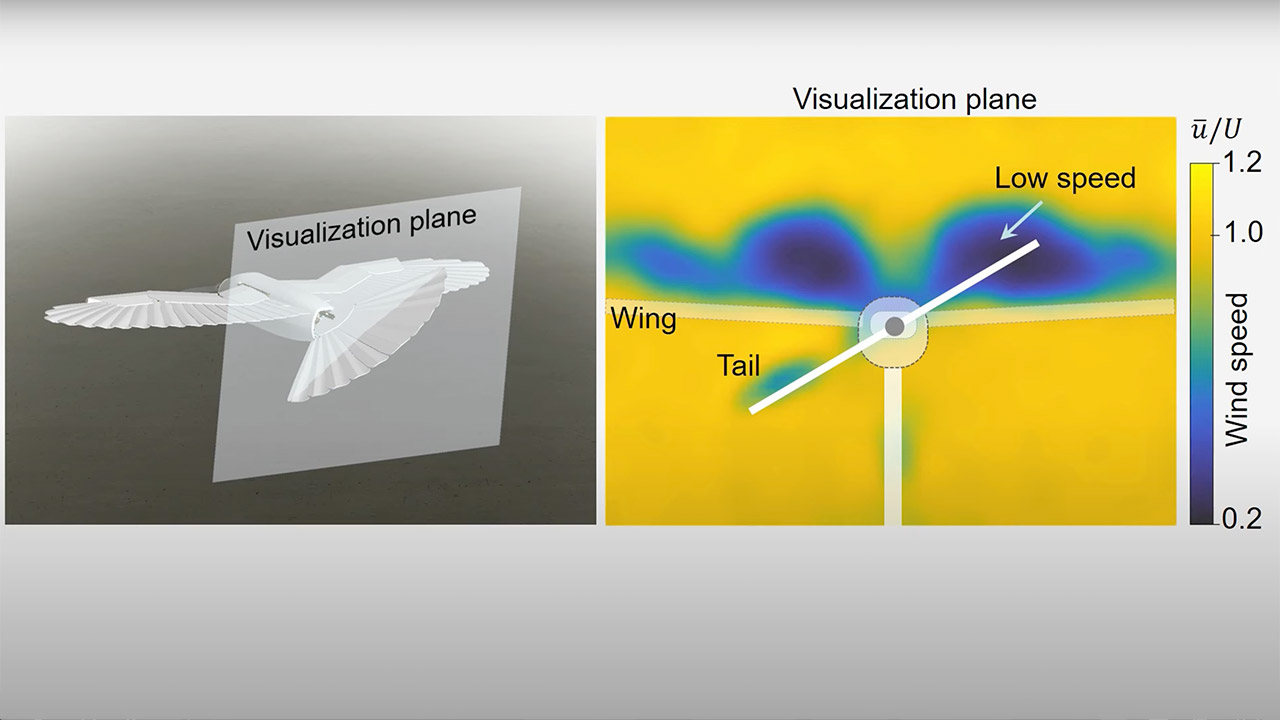 EPFL Researchers Develop a Bird-Shaped Drone That Flies Just Like its ...