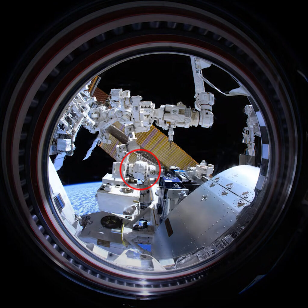 Amazon Ocelot is Company's First Quantum Computing Chip, Uses Scalable ...