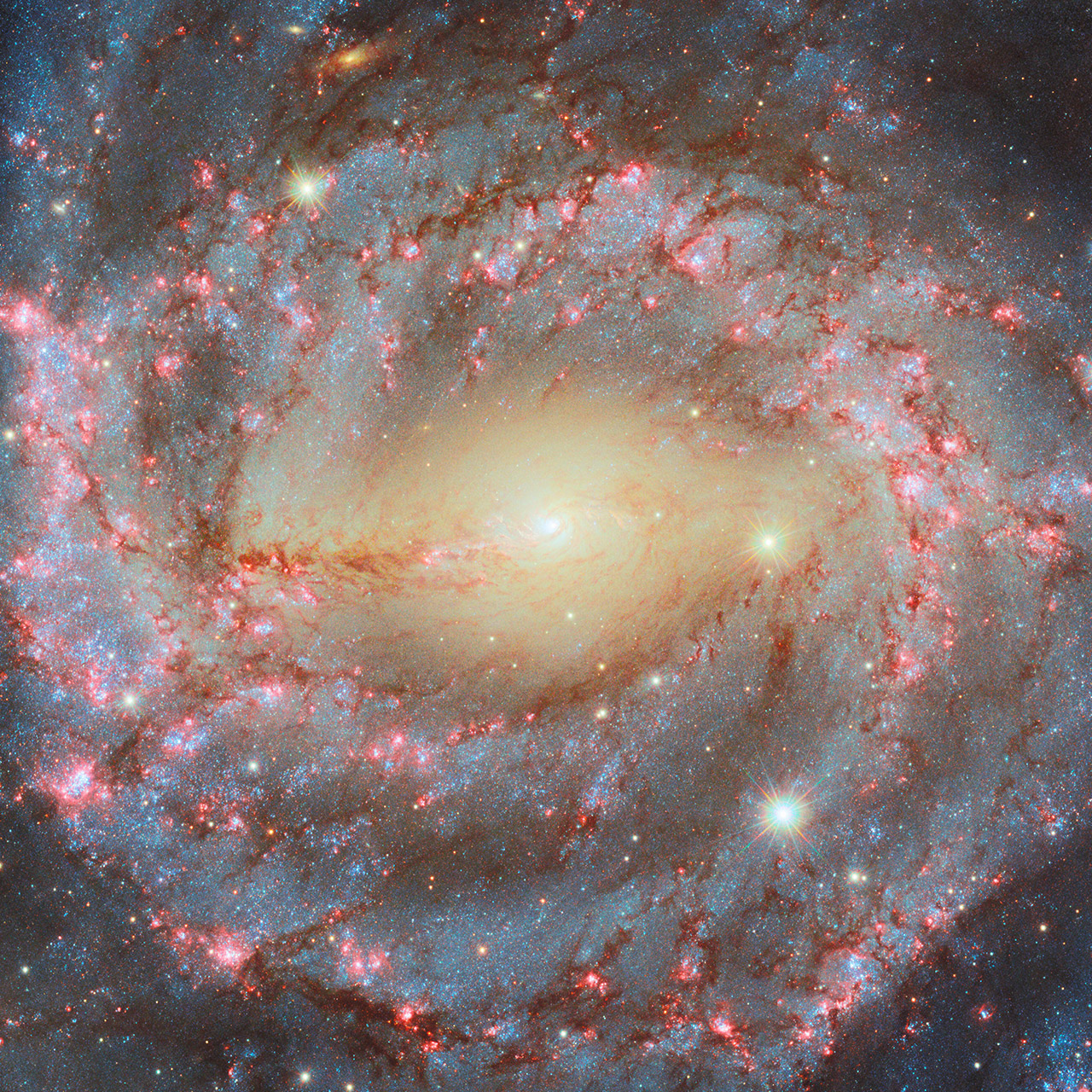 Hubble Captures Glorious Image of Spiral Galaxy NGC 5643 Located 40 ...