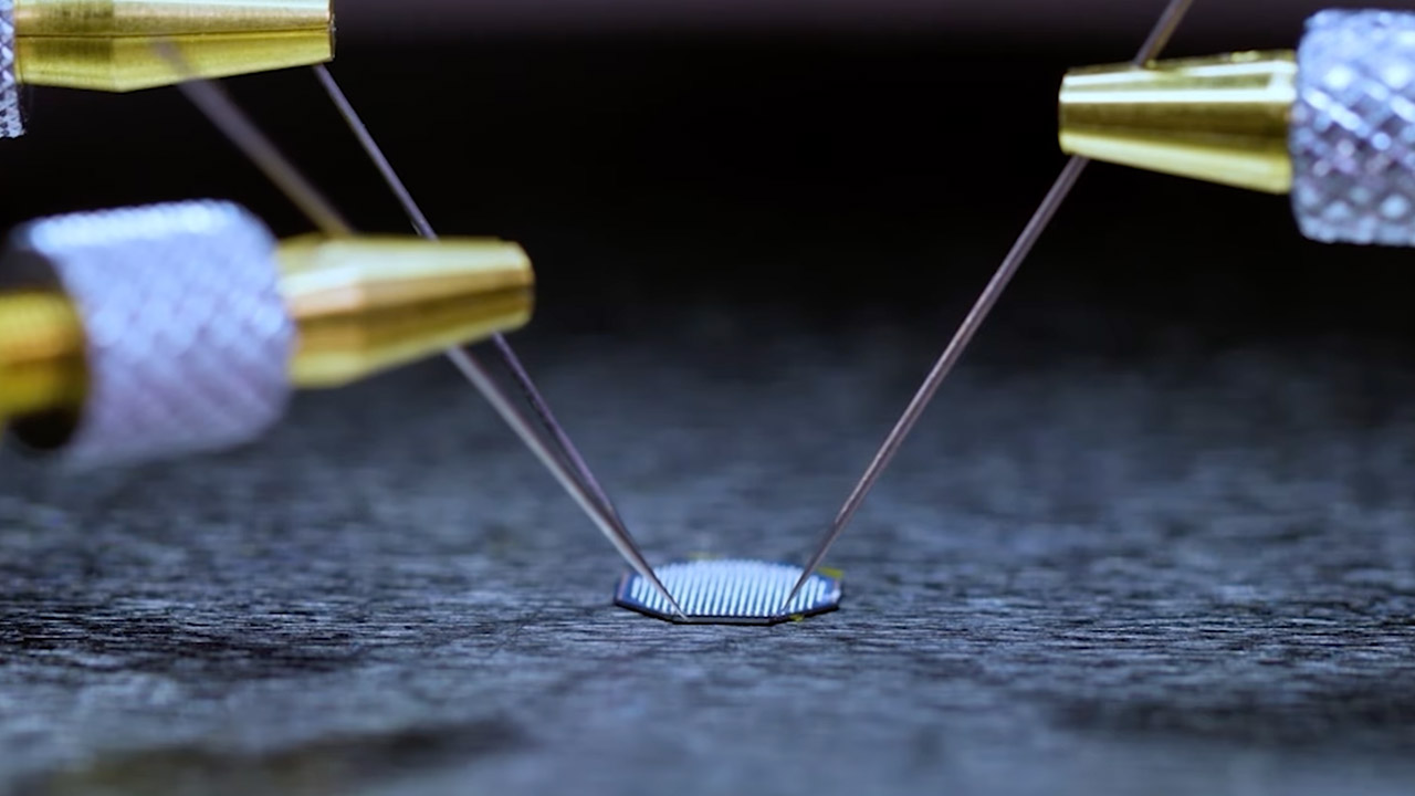 Neuralink Rival Paradromics Successfully Implants Connexus Brain ...