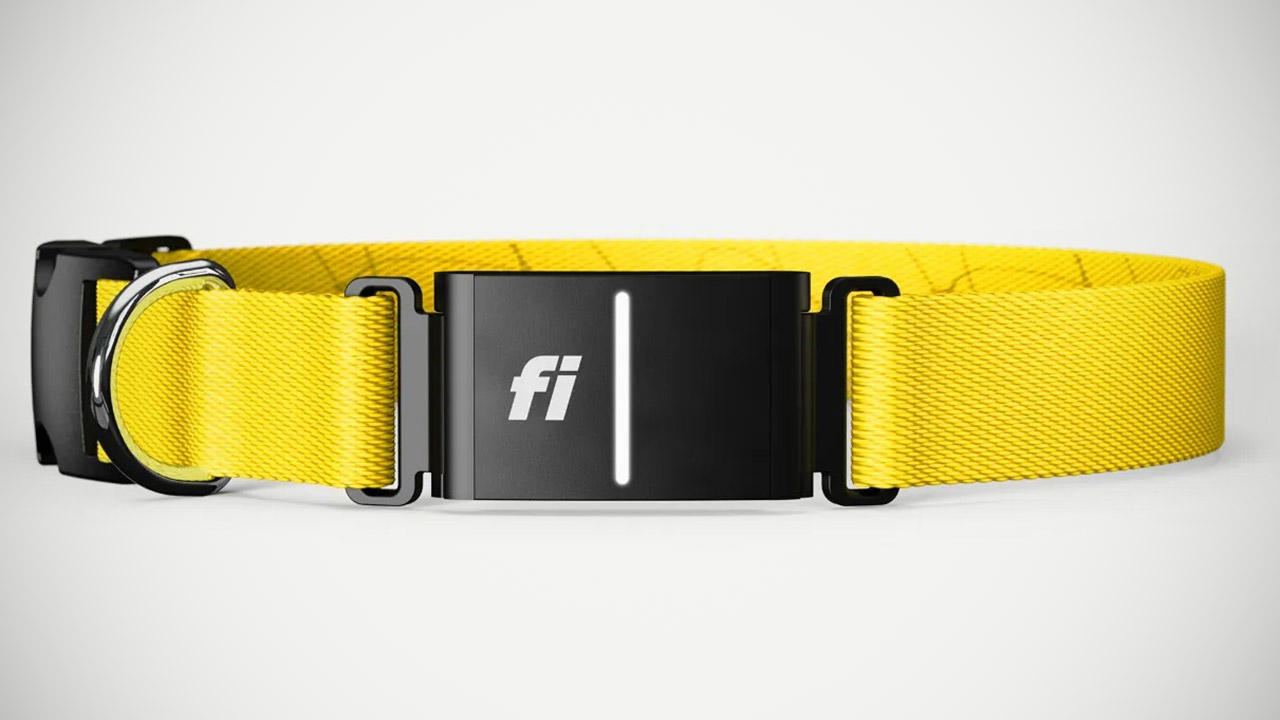 Fi Series 3+ is World's First AI-Powered GPS Smart Collar That Delivers Real-Time Behavioral and ...