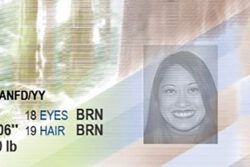 California’s Driver’s License Gets a Stunning (Yet Stealthy) Upgrade ...