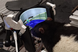 Rats Master the Art of Slaying Demons in DOOM - TechEBlog